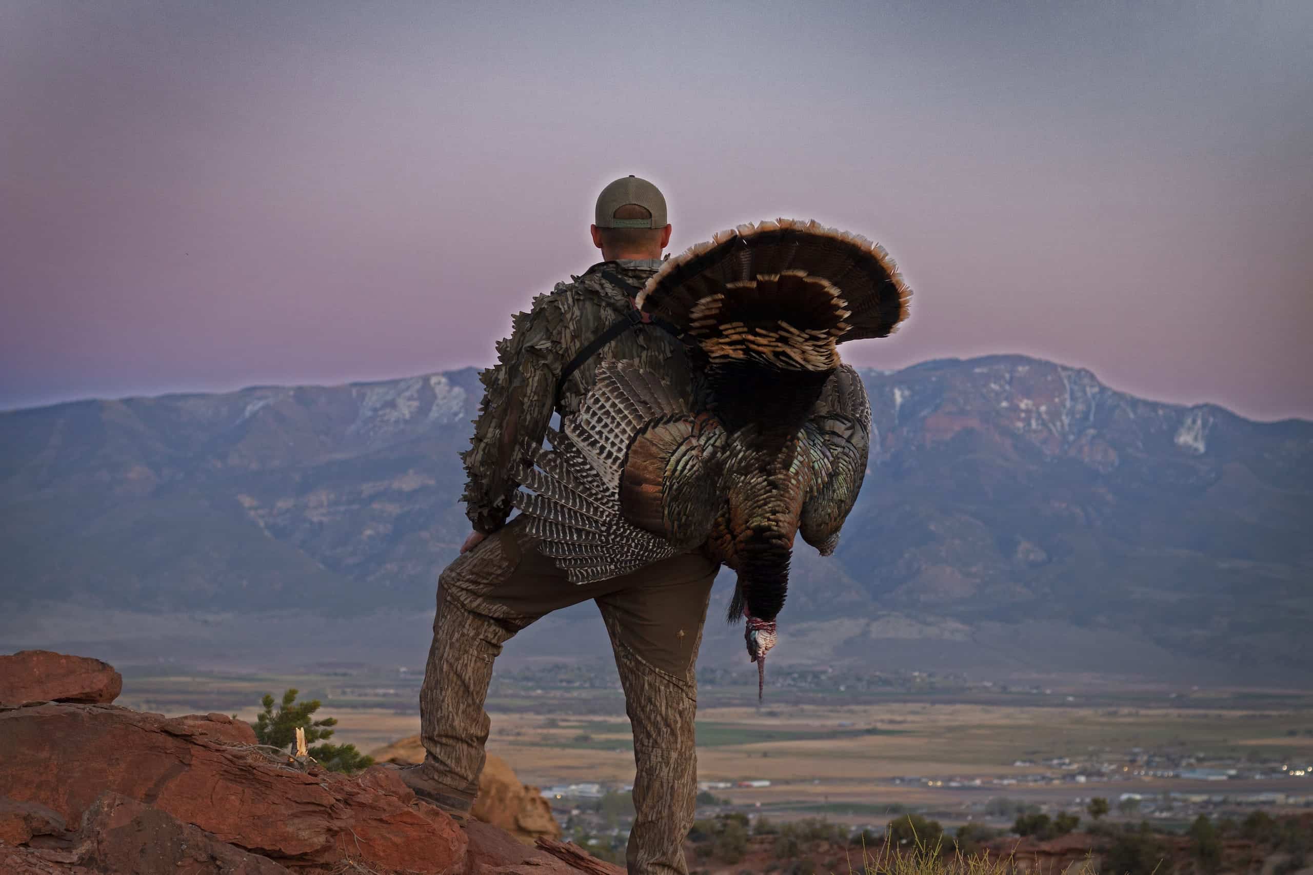 About Pinhoti - The Pinhoti Project