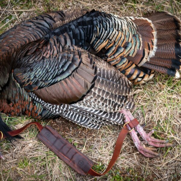 Pinhoti Turkey Strap - The Pinhoti Project