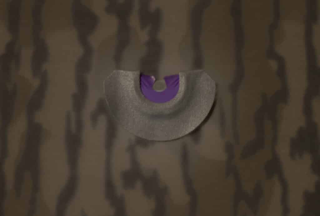 Pinhoti Purple Ghost - The Pinhoti Project