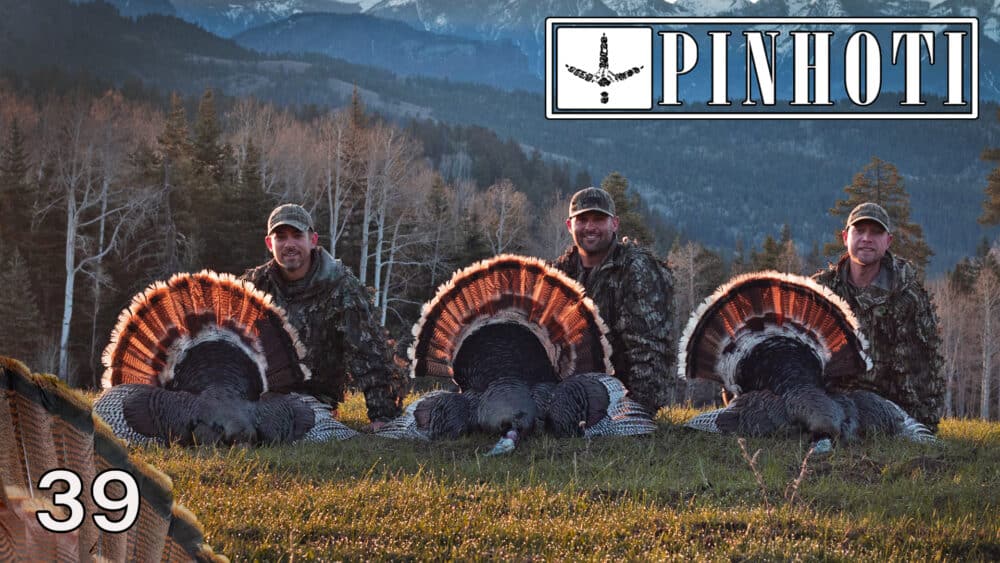 Videos Archive - The Pinhoti Project